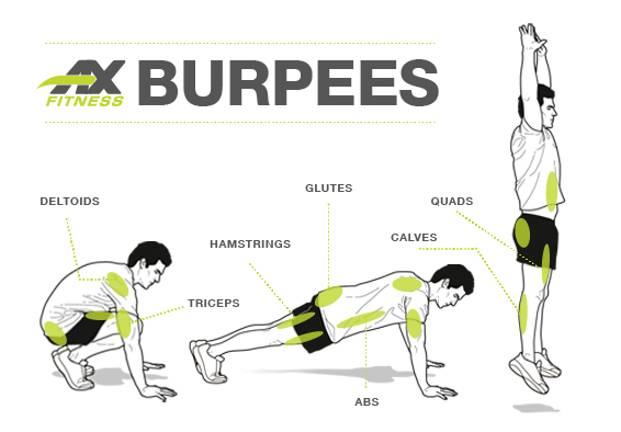 Un Exercice brule graisse : Les Burpees - ExerciceAbdo.Fr